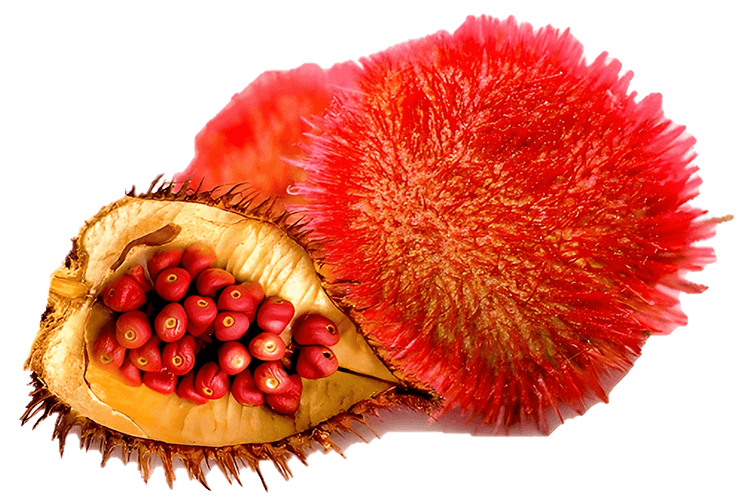 Achiote - Selva Organics