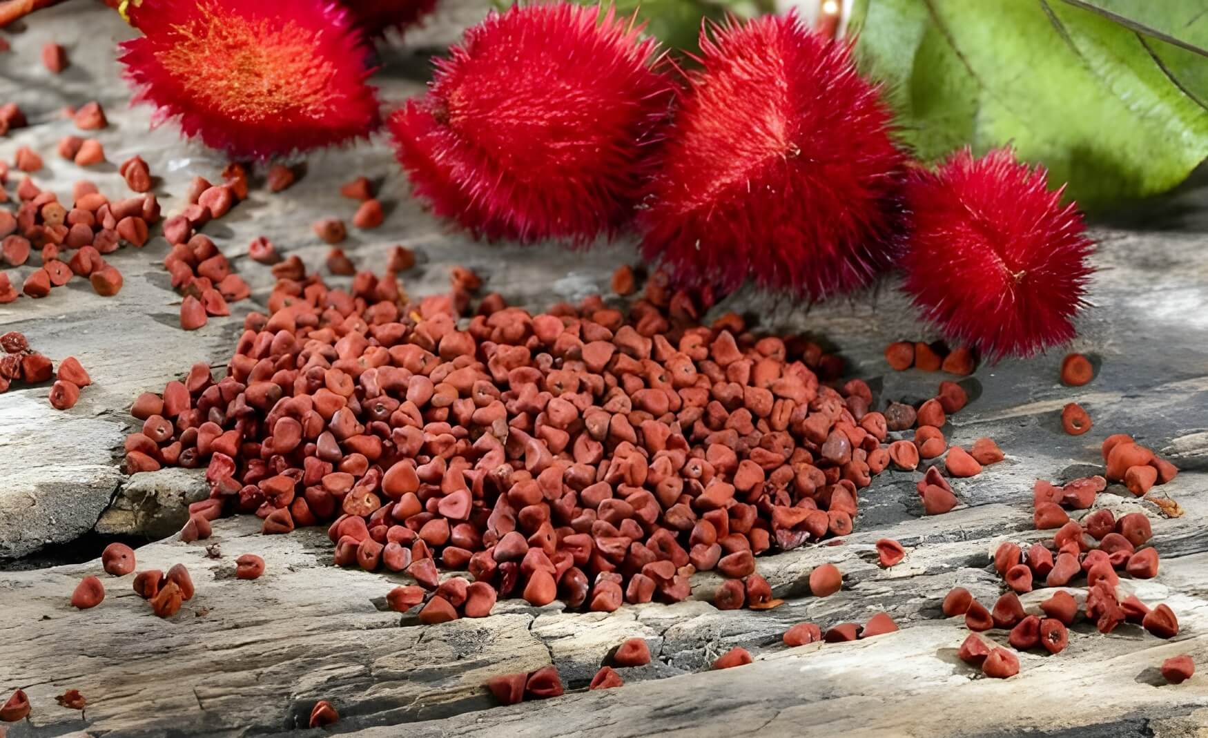 Achiote - Selva Organics